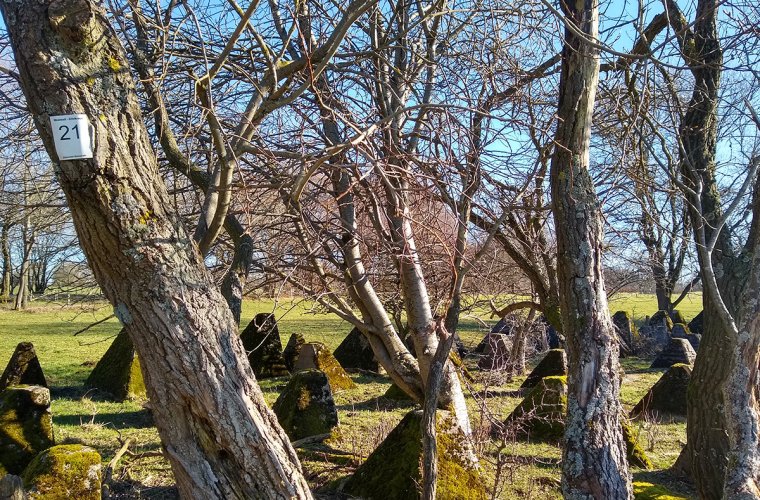 Geschichte | Gemeinde Simmerath